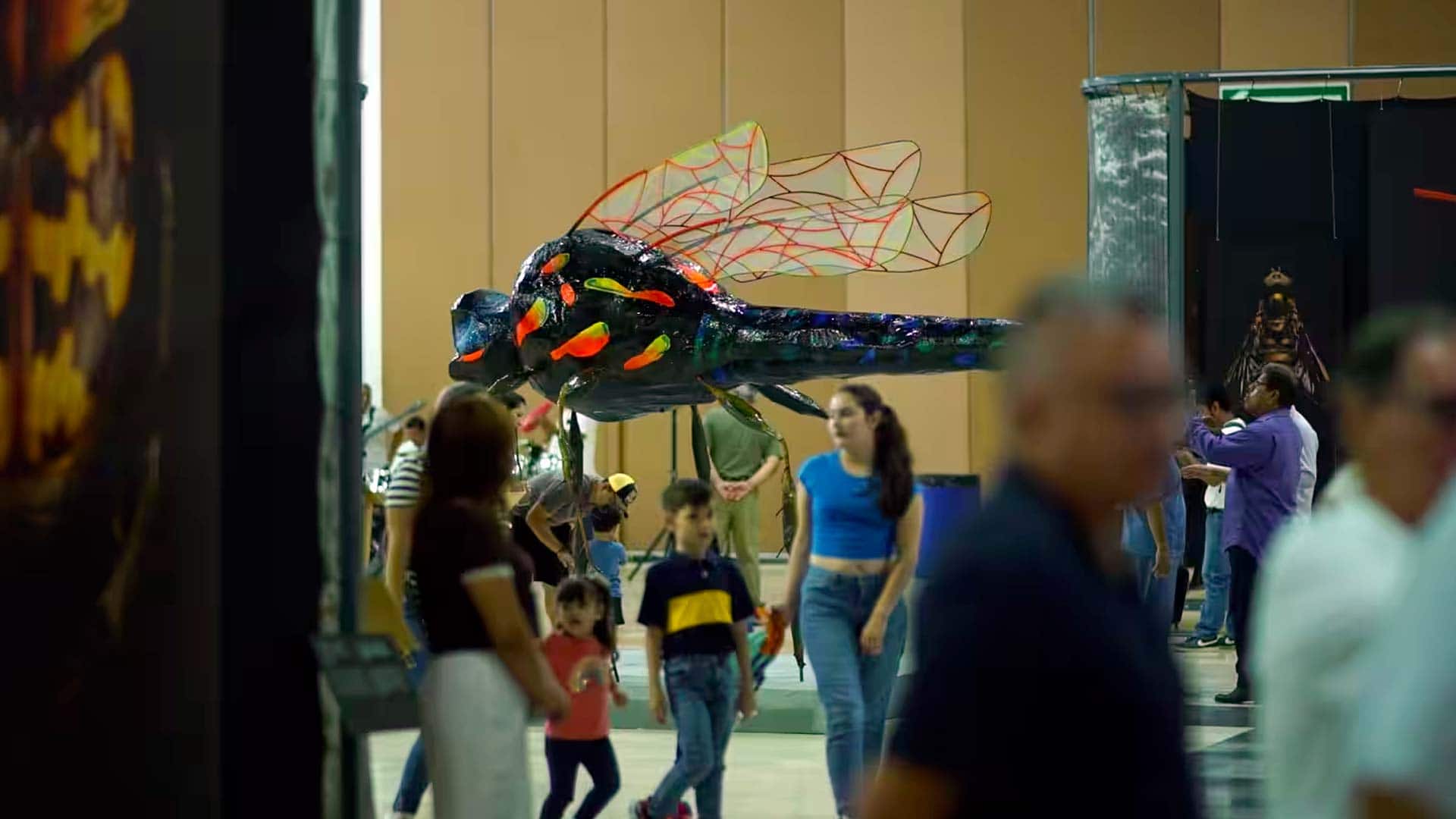 Exposiciones creativas Insectus I Fundación Coppel